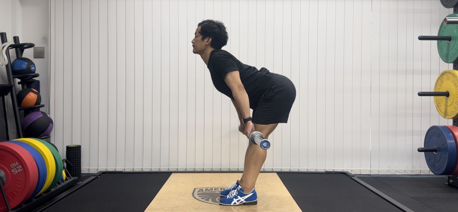 スティフレッグデッドリフトのフォームと鍛えられる筋肉 | ORCA PERSAONAL GYM
